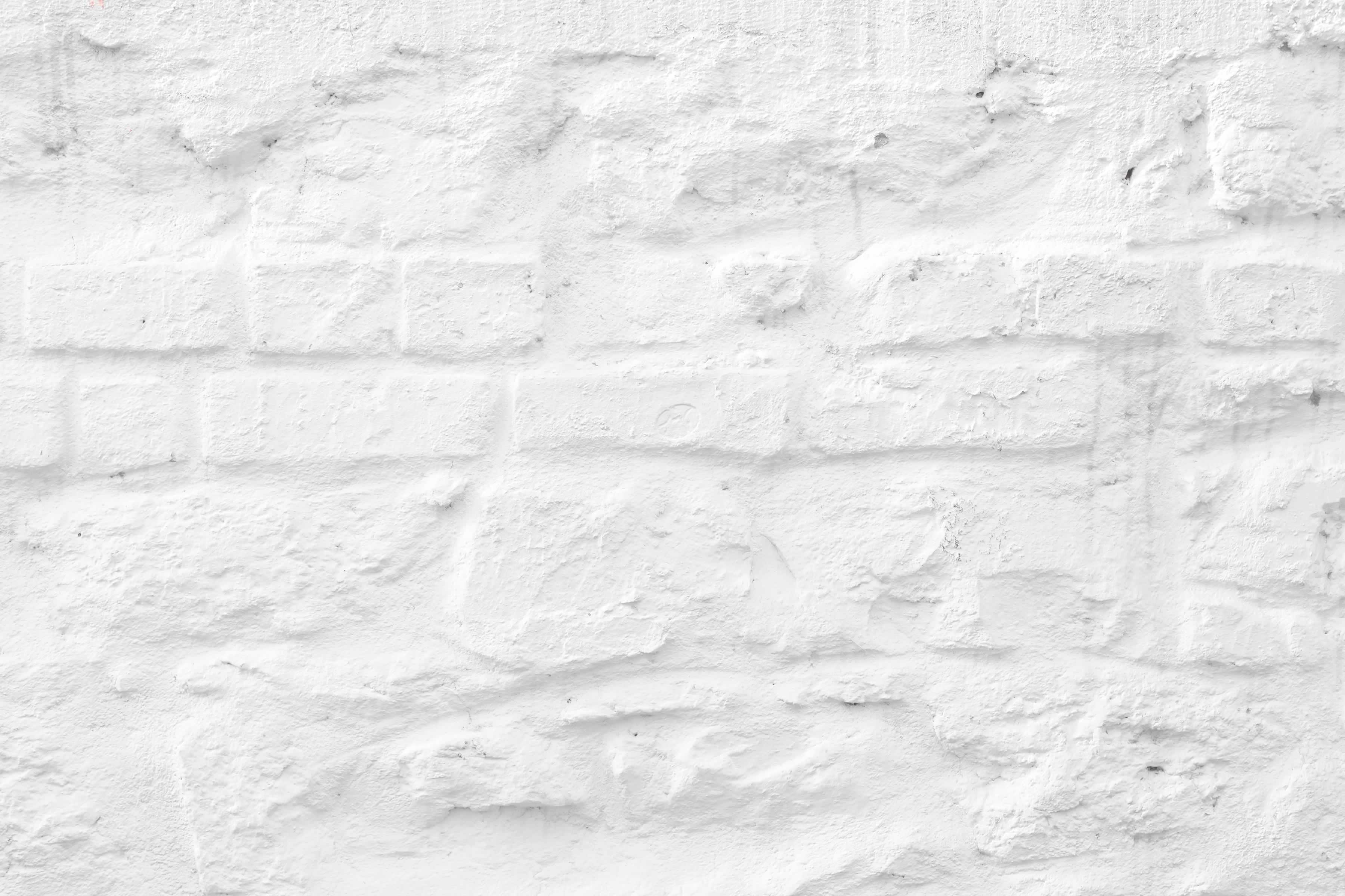 About this site | Workhorse Studio, Hobart Tasmania